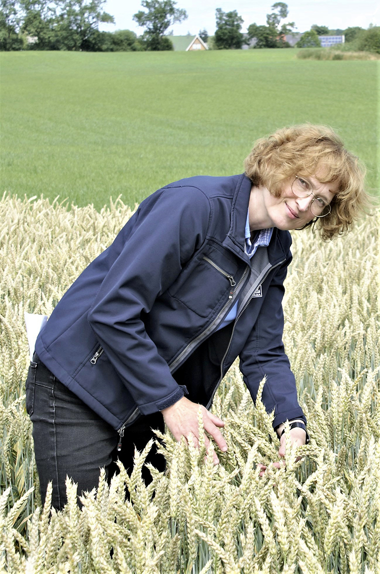 N-Tester: Ein Erfahrungsbericht